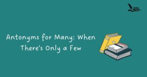 100 Ways to Say Many: An English Teacher’s Guide to Expressing Quantities