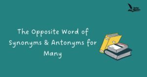 100 Ways to Say Many: An English Teacher’s Guide to Expressing Quantities