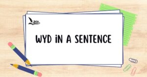 What Does WYD Mean? Meaning, Usage, and Examples